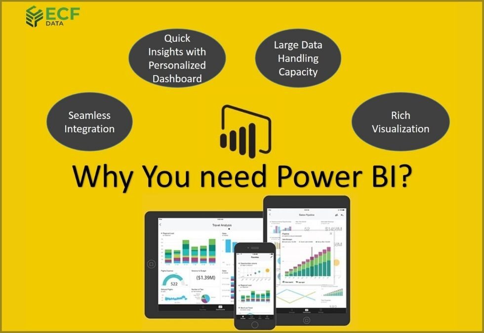 Everything You Need To Know About Power BI ECF Data LLC