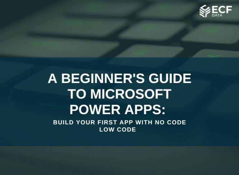 A beginner's Guide to Microsoft Power Apps: Build your First App with No Code Low Code - ECF Data