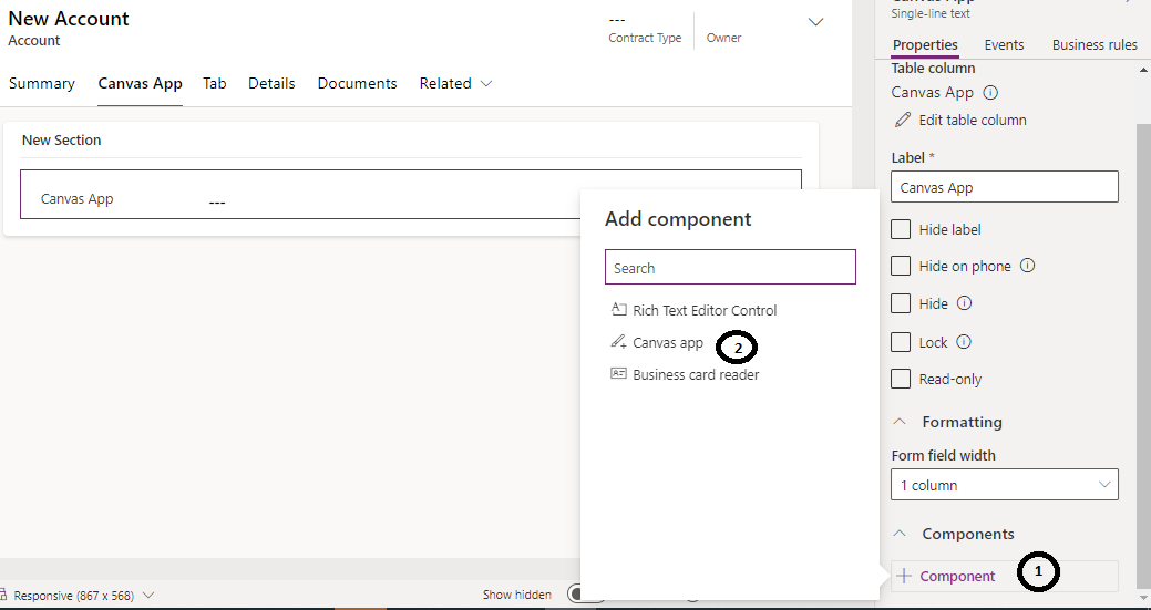 How to Embed a Canvas App in Dynamic CRM - ECF Data